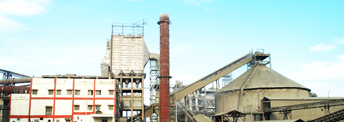 Deccan Cements Limited (DCL)
